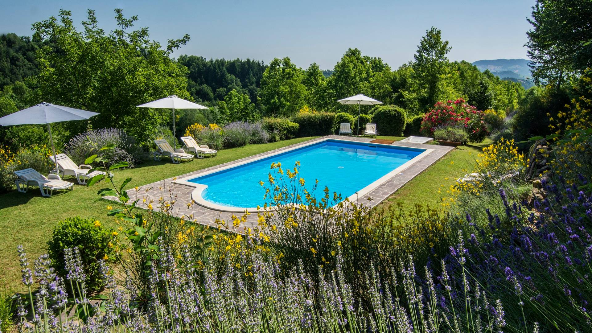 Home - English - ANTICA TENUTA LE PIANE - AMANDOLA
